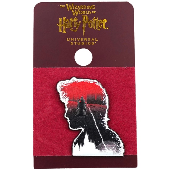 Universal | Other | Universal Studios Harry Potter Voldemort Pin | Poshmark